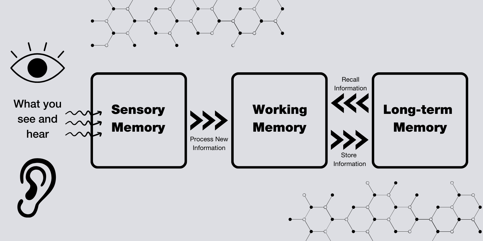 CU Physician Works to Improve Resident Training Through Cognitive Load Theory